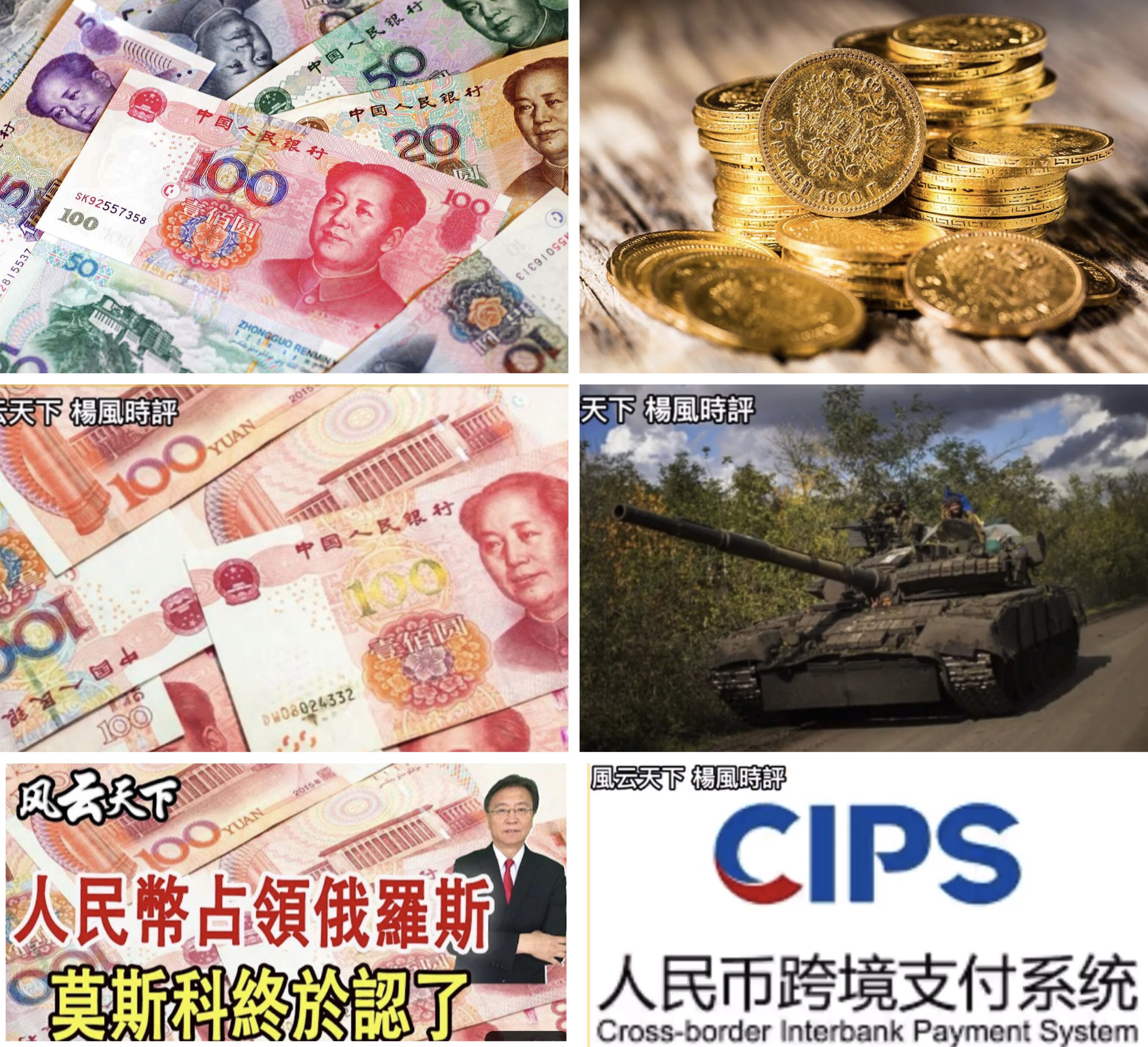 Video: Russia disclosed reserve currency is 60% RMB & 40% Gold ...