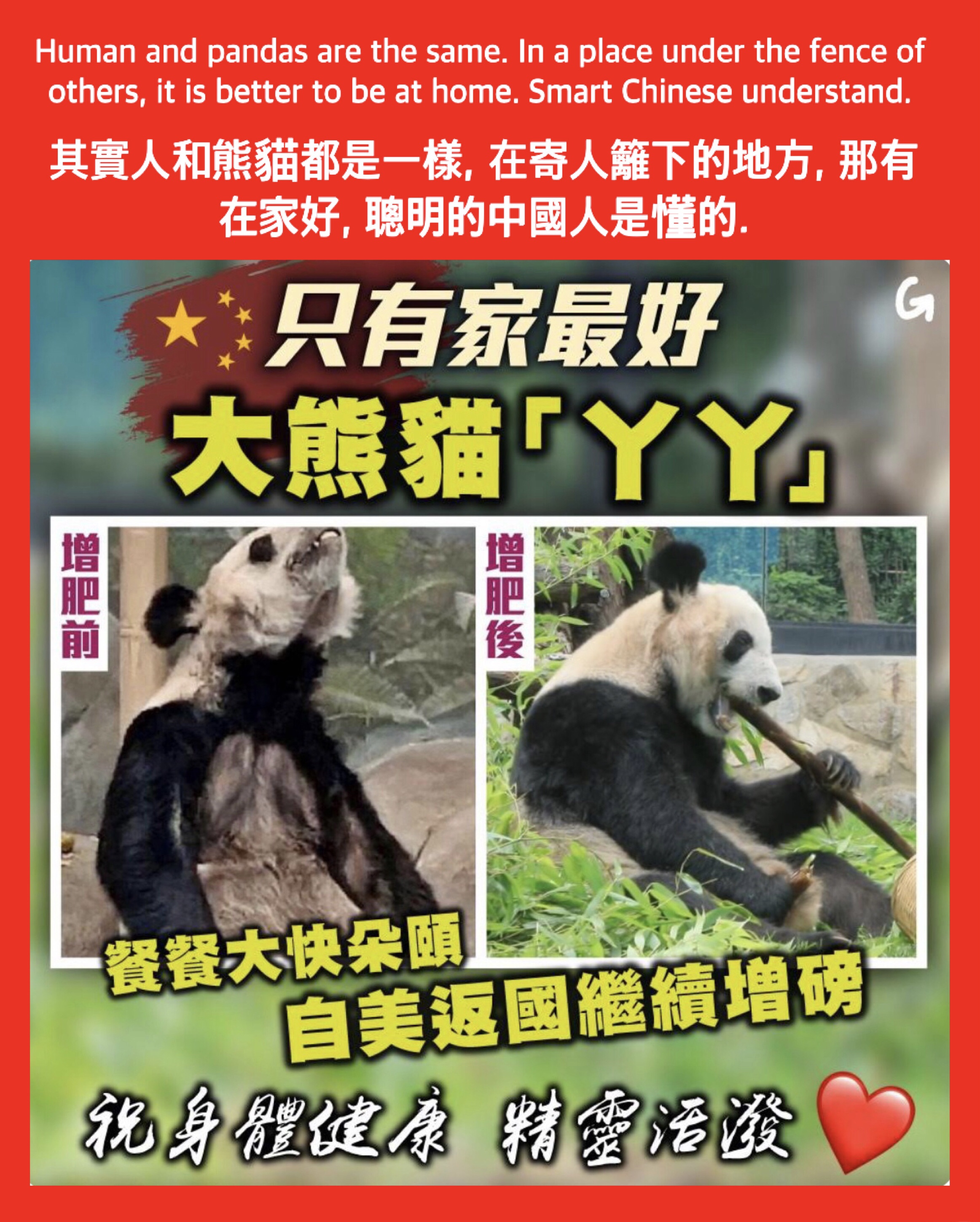 Human and pandas are the same – Business Blog