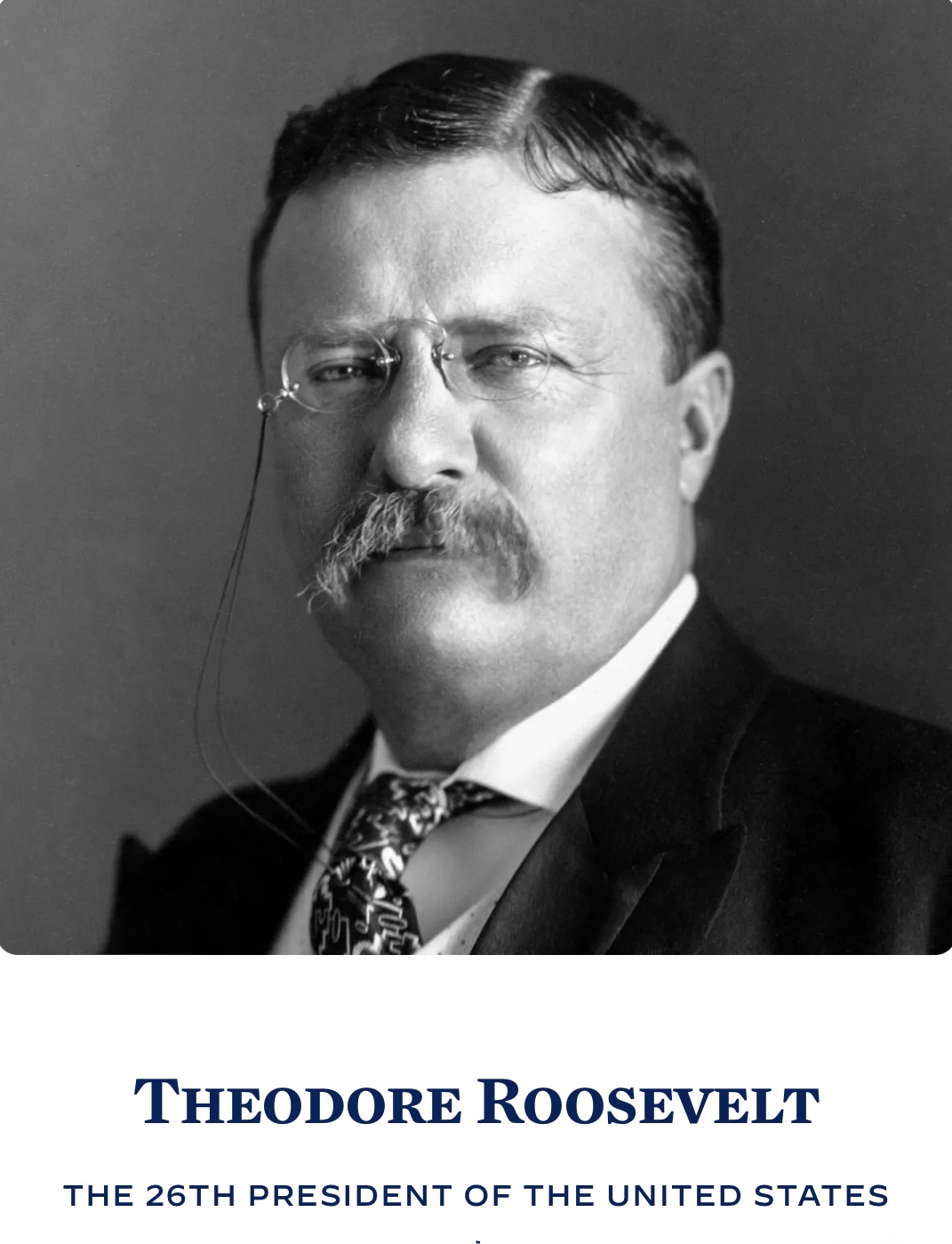 Theodore Roosevelt, the 26th President of the United States – Business Blog