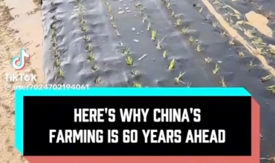 Video: This is why China’s farming is decades ahead of the US ...